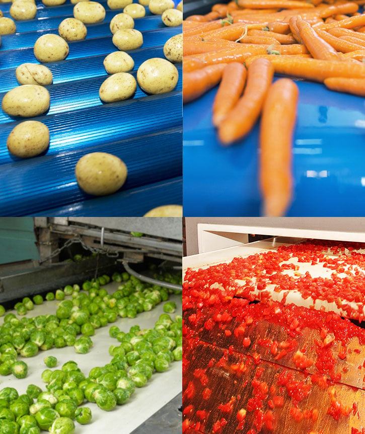 Build a vision system for the food and beverage industry